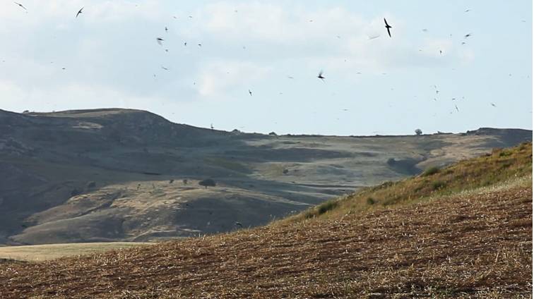 Al Beato Angelico un omaggio a Giovanni Chiaramonte – Chiesa di Milano